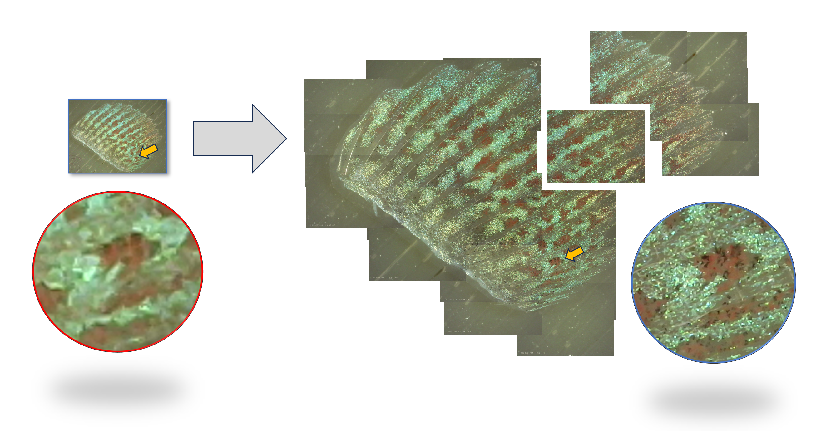 Engineering Projects